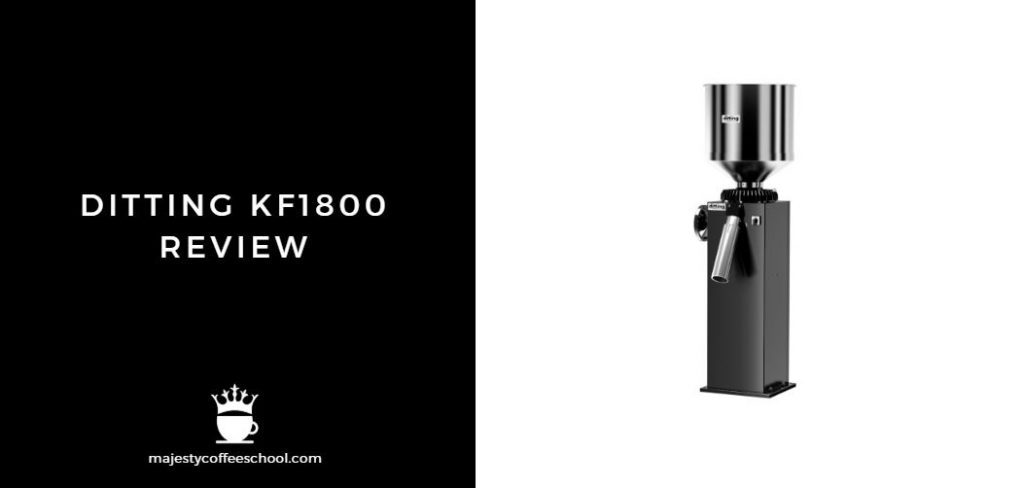 Ditting KR804 Review 2025 - Is This Grinder Right for Your Business?